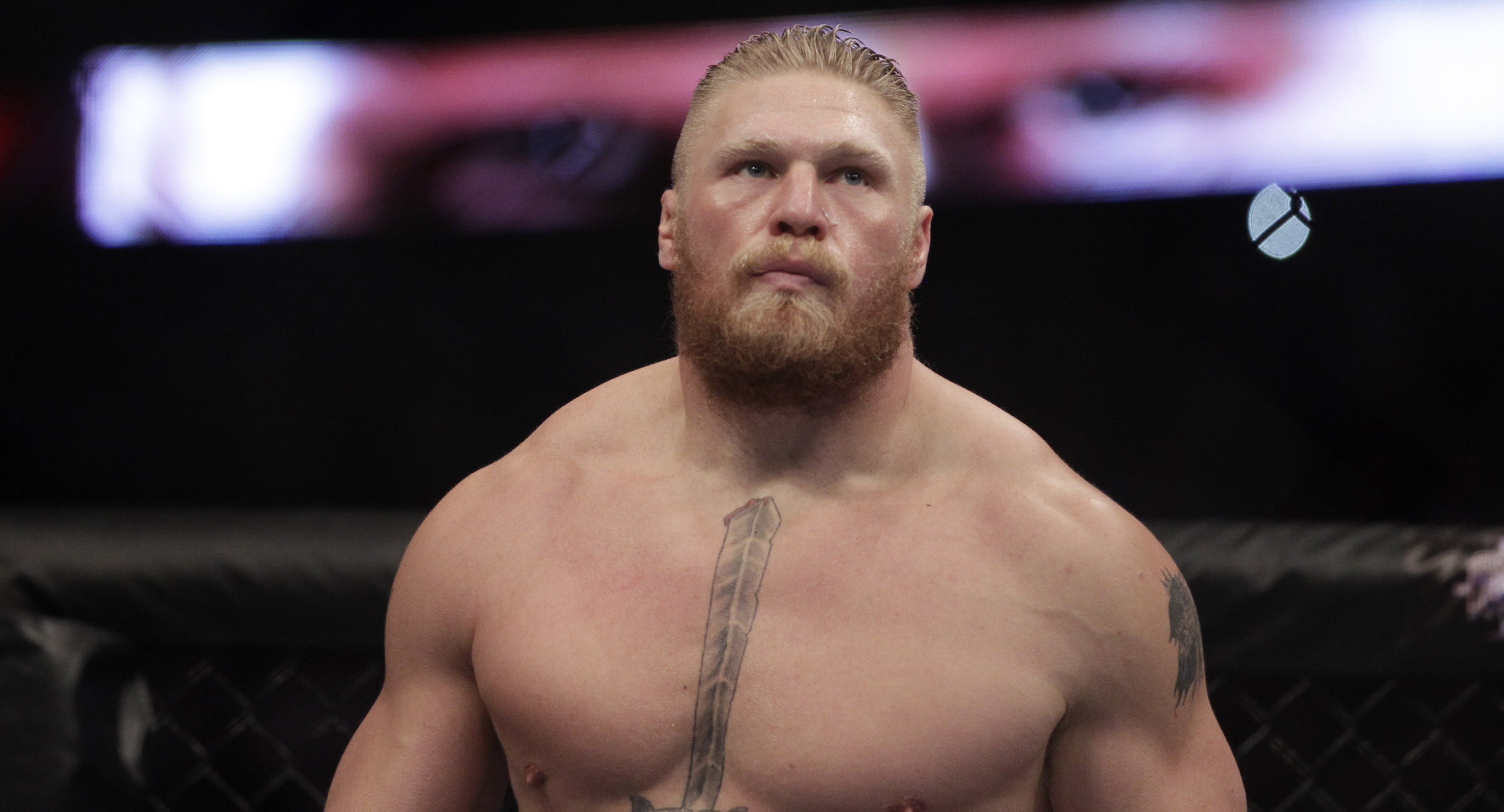 brock lesnar full hd wallpaper,barechested,professional wrestling ...