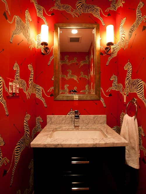 Scalamandre Zebras- WallpaperUse