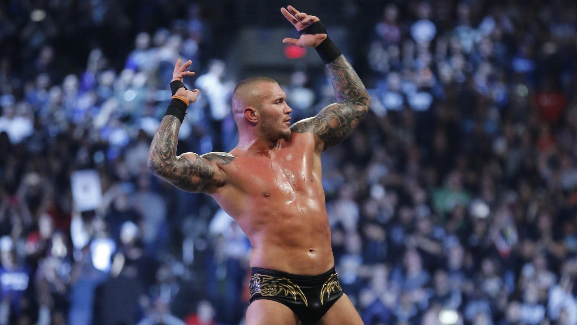 randy orton wallpaper download,barechested,wrestler,professional ...