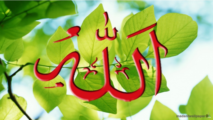 Name Of Allah Wallpaper - Green Leaves- WallpaperUse