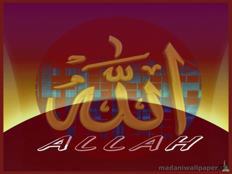 sadia name wallpaper,font,text,calligraphy,poster,art (#330547 ...