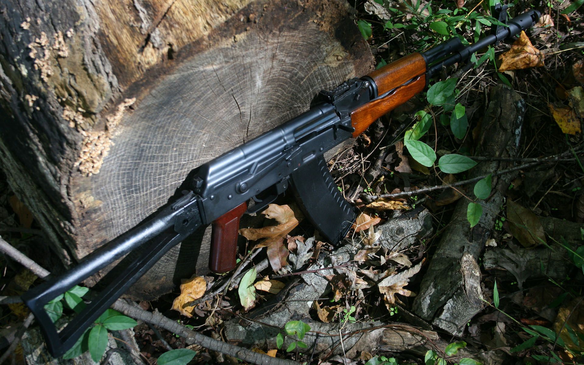 Download Ak 47 Gun Hd Wallpaper Wide Desktop Military - Ak 47 In Jungle ...