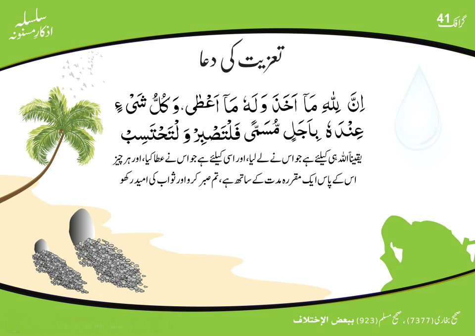 islamic hadees bangla wallpaper,green,text,leaf,herbal,plant (#339182 ...