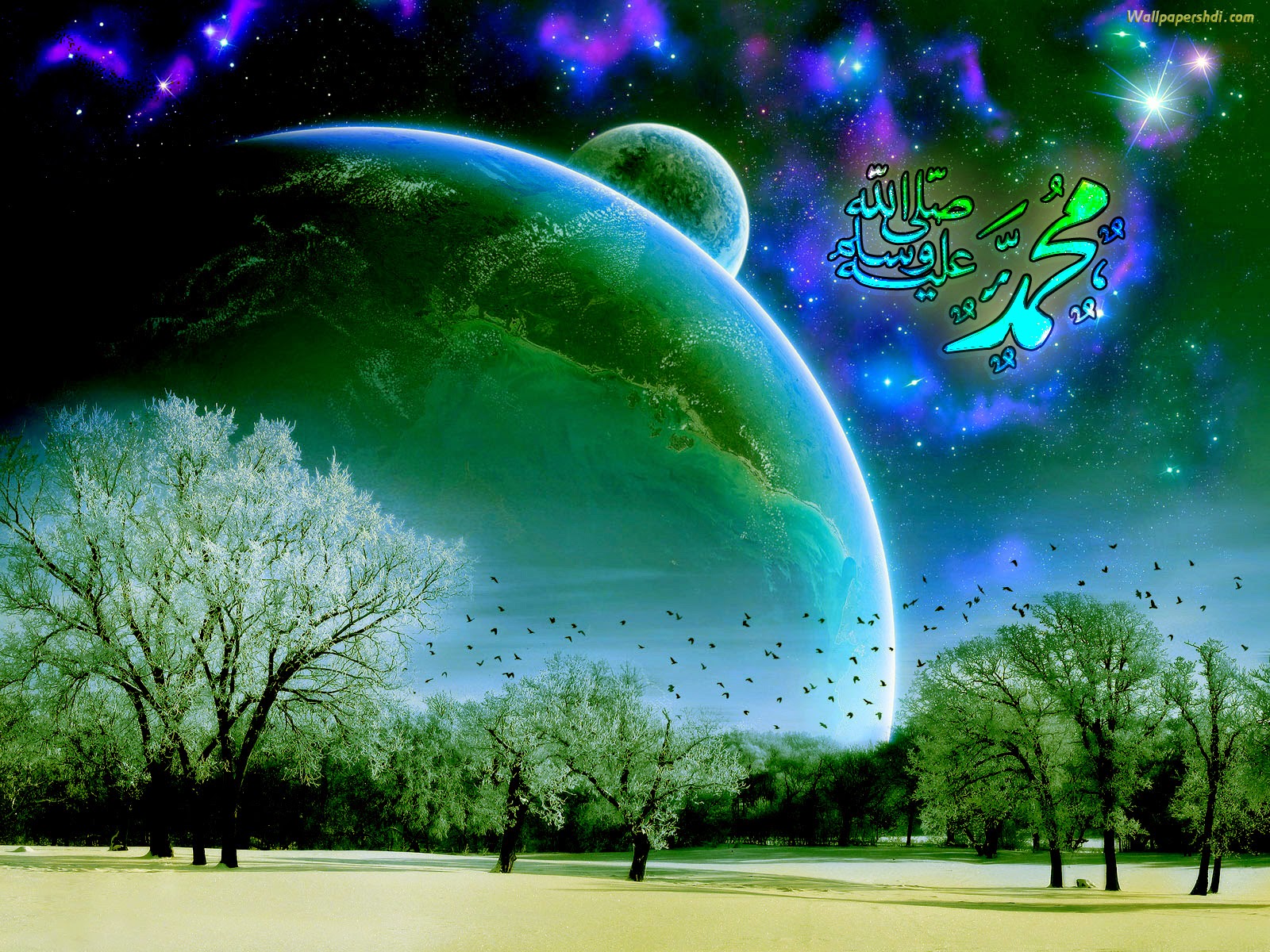 allah wallpaper hd 1080p,natural landscape,nature,sky,green,light ...