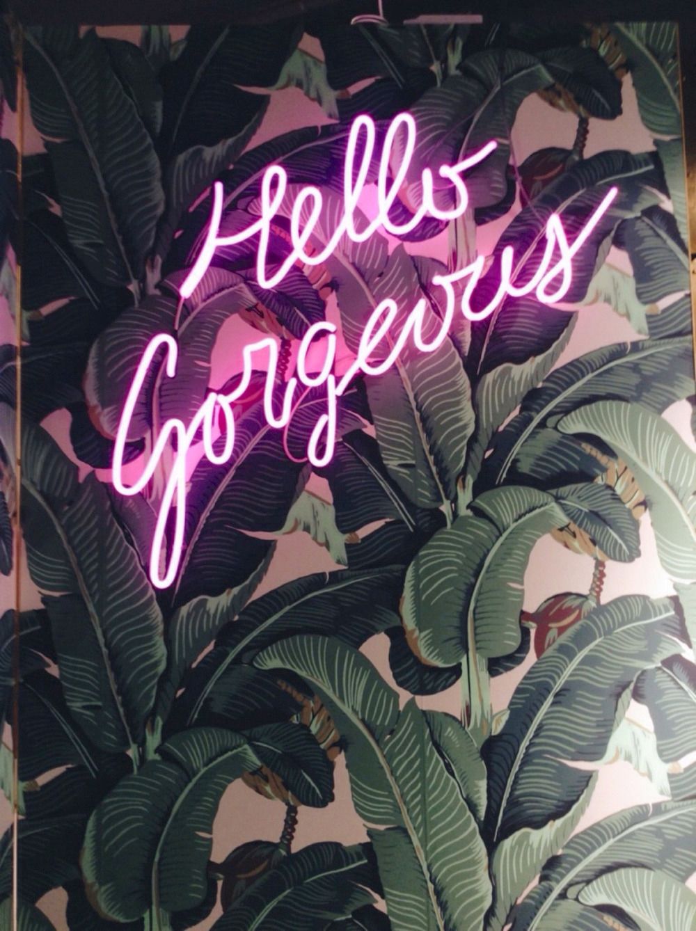 iconic wallpaper,pink,font,plant,purple,flower (#341159) - WallpaperUse