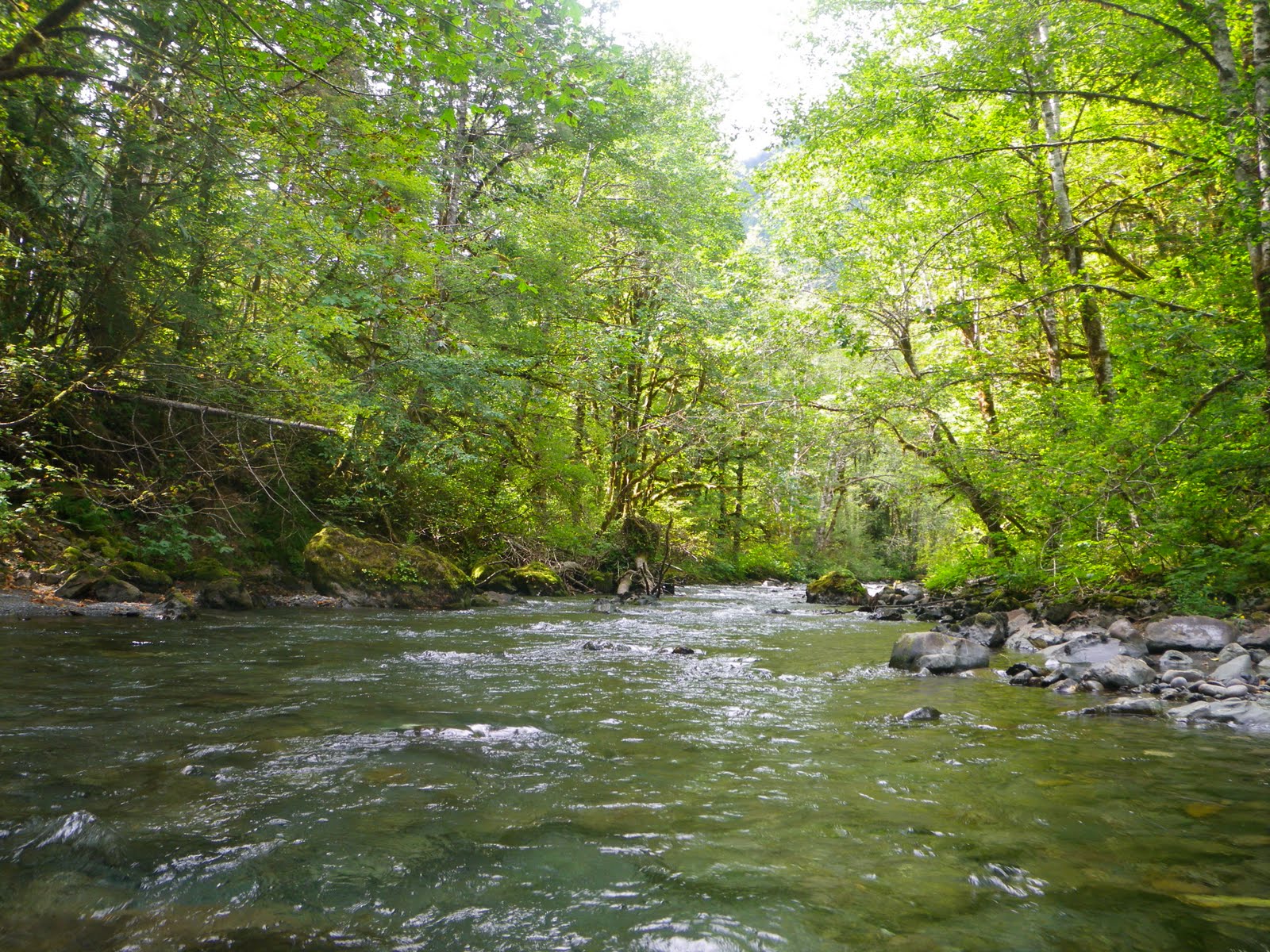 fly fishing wallpaper,body of water,natural landscape,water resources ...