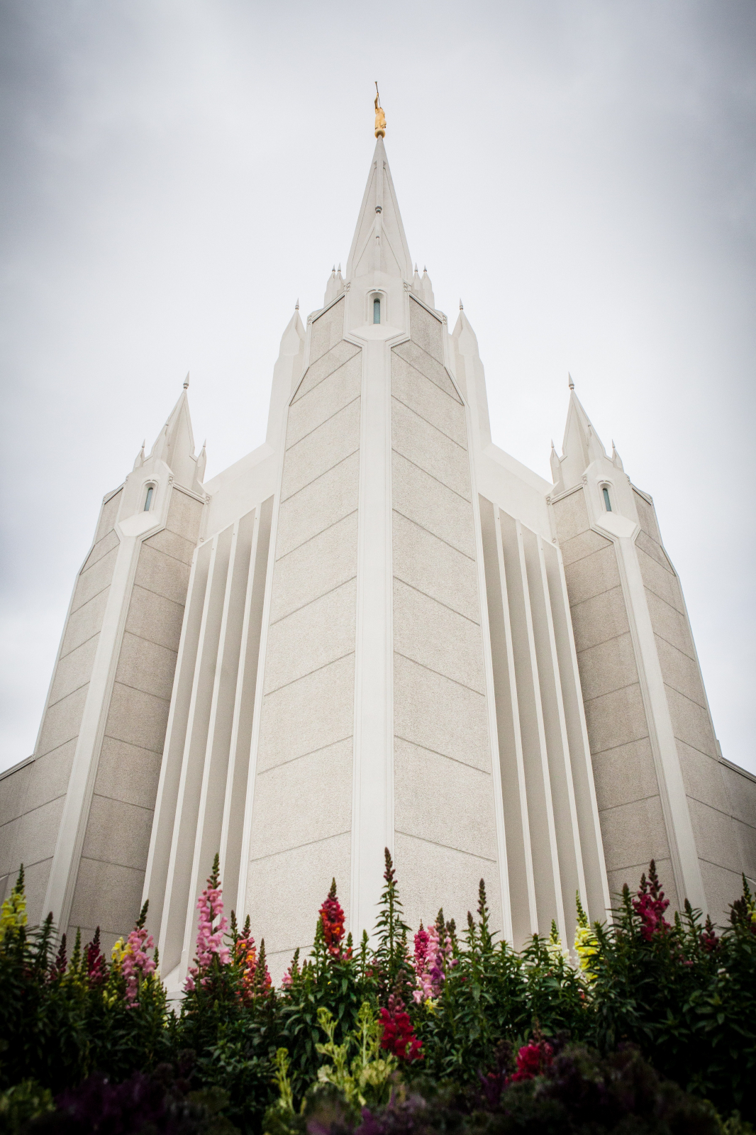 lds tempel tapete,gebäude,die architektur,anbetungsstätte,tempel,turm ...