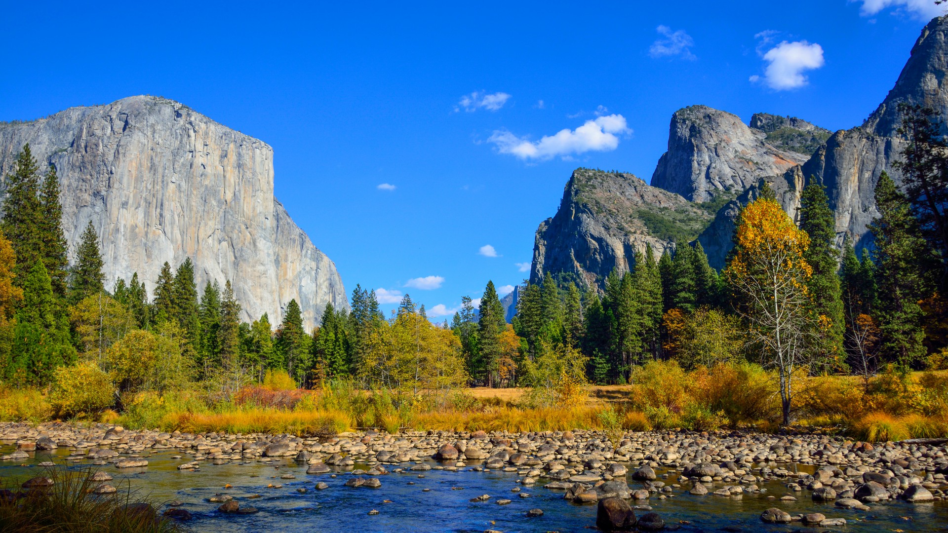 Yosemite, 5k, 4k Wallpaper, 8k, Forest, Osx, Apple, - Yosemite National ...