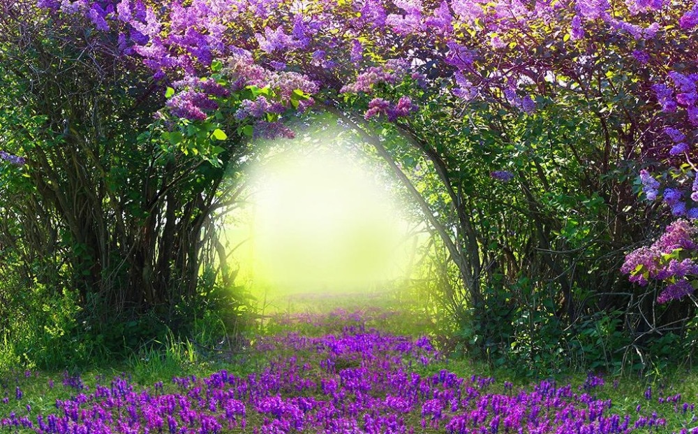 Beautiful Flower Forest Background- WallpaperUse