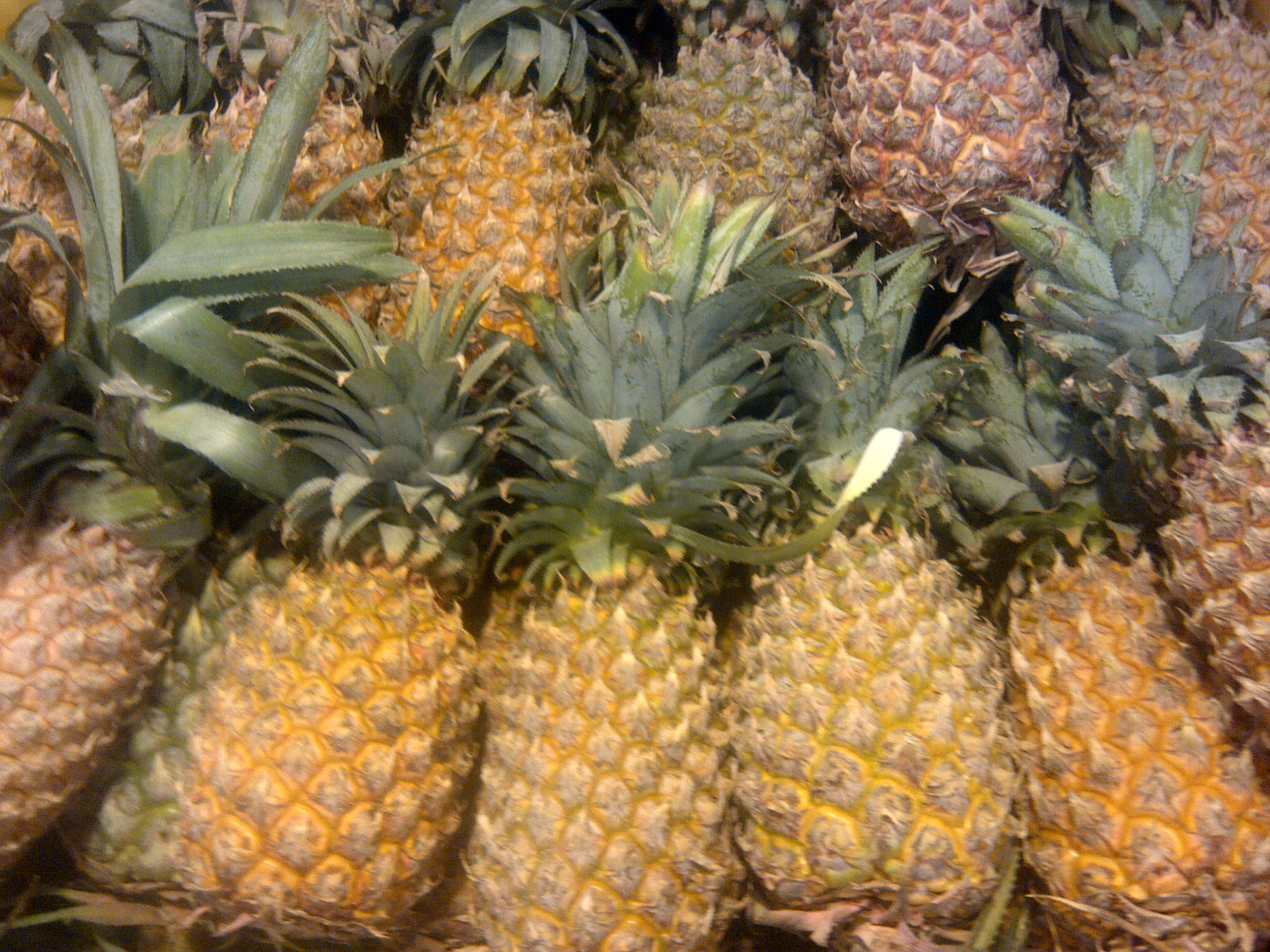 pineapple wallpaper hd,natural foods,pineapple,ananas,fruit,plant ...