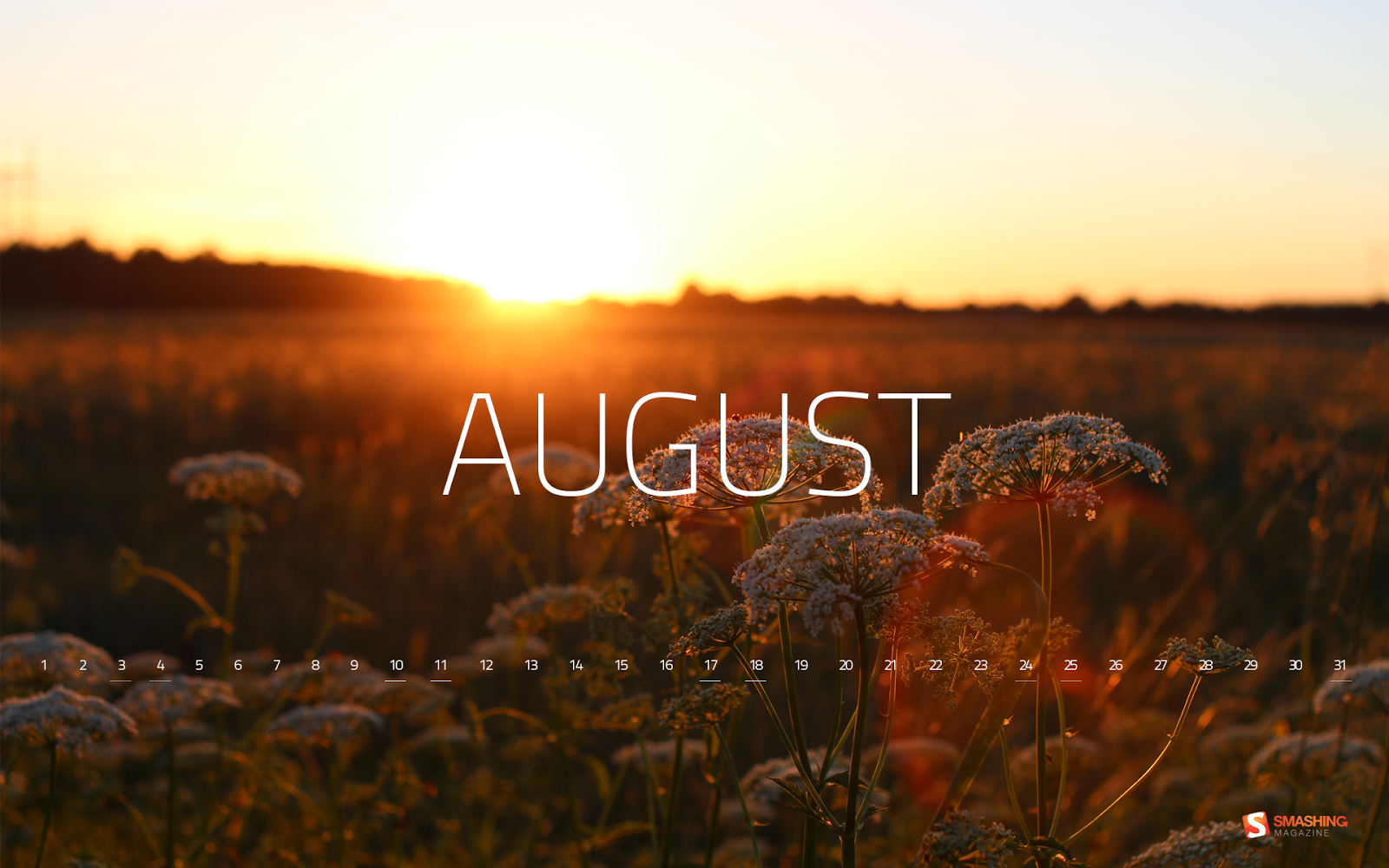 Summer August- WallpaperUse