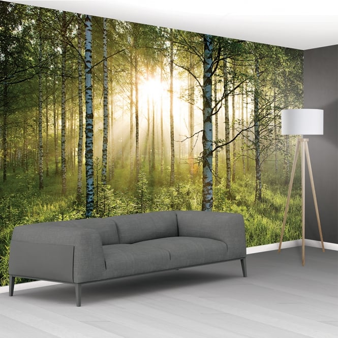 Green Forest Tranquil Forest Scene Mural Wallpaper - Forest Mural ...