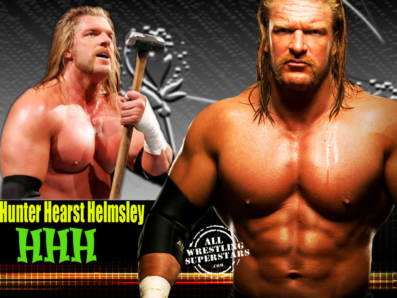 hhh wallpaper,professional wrestling,wrestler,muscle,wrestling ...