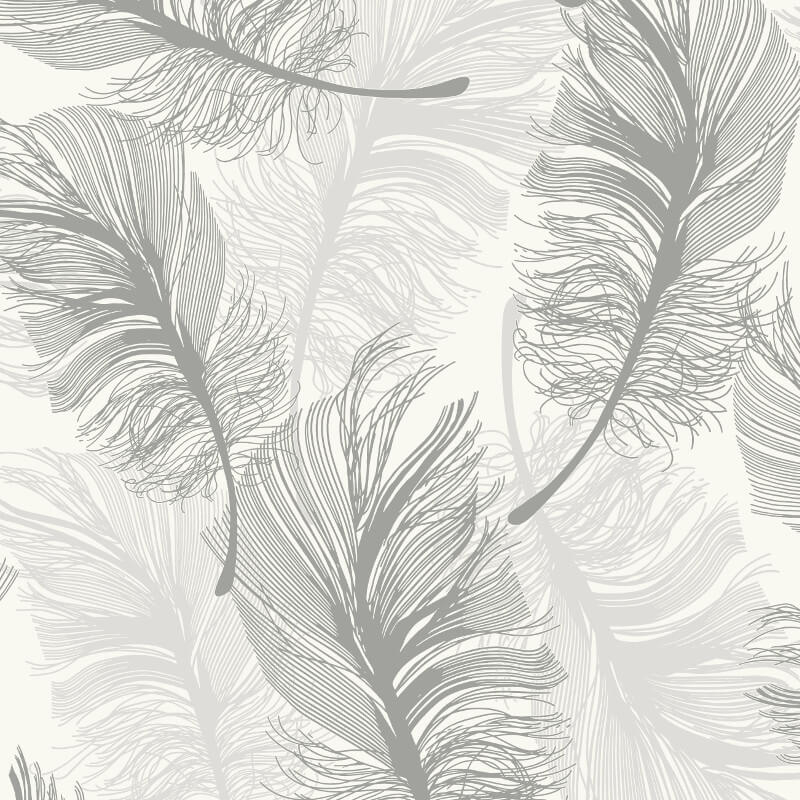 silver feather wallpaper,feather,leaf,botany,line,pattern (#365704 ...