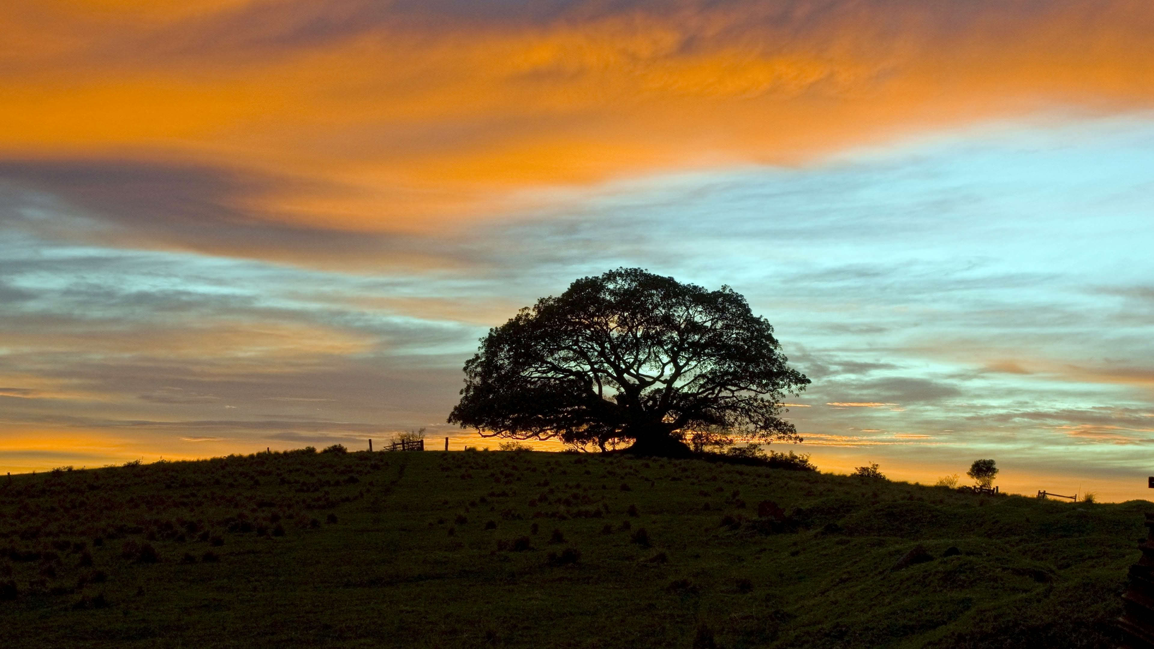2160p wallpaper,sky,natural landscape,nature,horizon,tree (#367854 ...