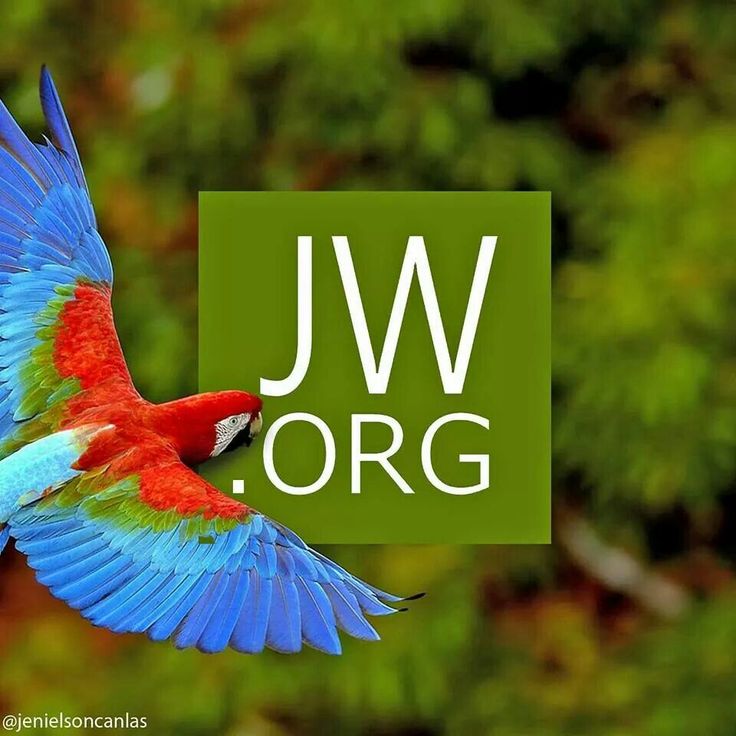 Jw Org Bem Videos- WallpaperUse