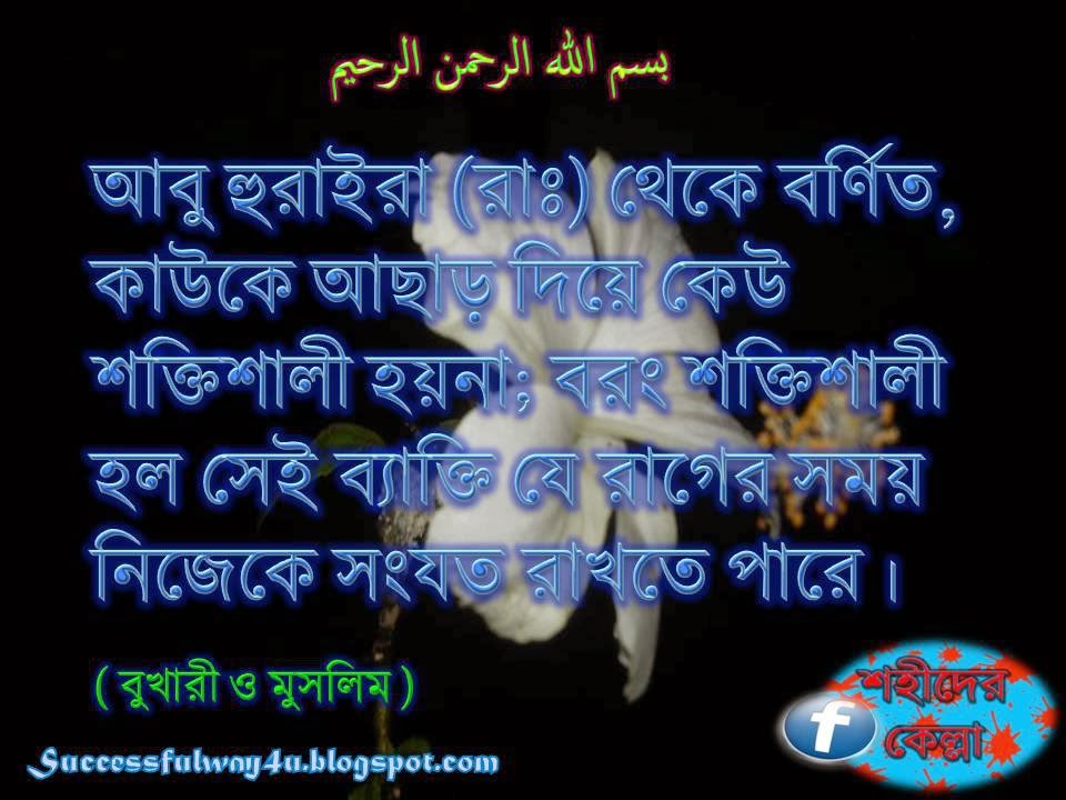 bangla hadith wallpaper,text,font,organism,line,world (#371529 ...