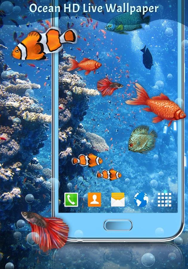 touch fish live wallpaper,fish,underwater,marine biology,natural ...
