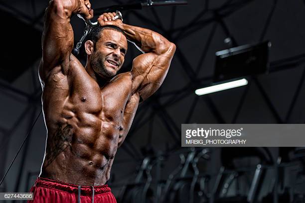 body builders wallpapers,bodybuilder,bodybuilding,muscle,shoulder,arm ...