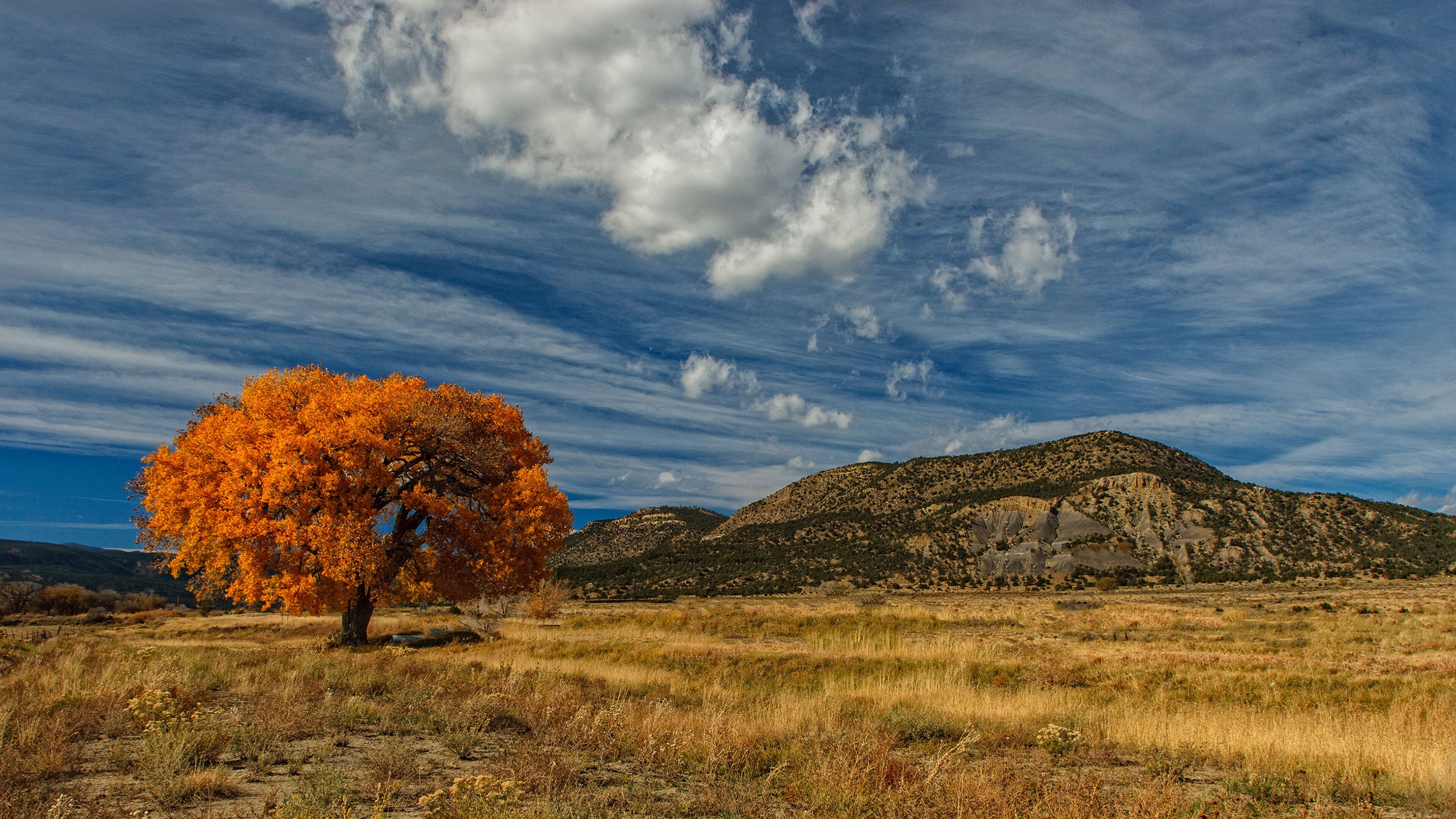 new mexico wallpaper,natural landscape,sky,nature,grassland,cloud ...