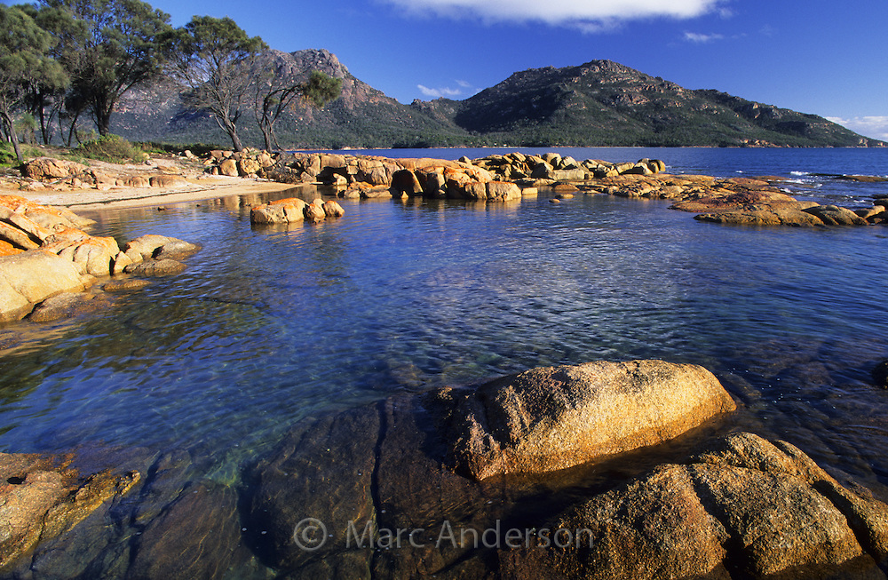 newfoundland wallpaper,body of water,natural landscape,nature,shore ...