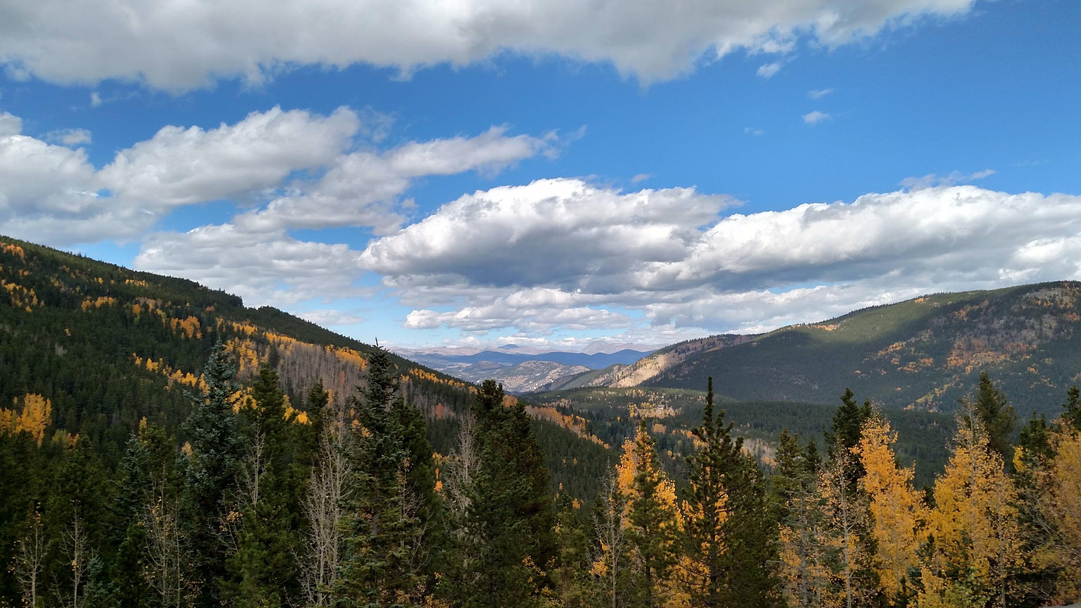 Fall Colors Near Evergreen Colorado Wallpaper - Spruce-fir Forest ...