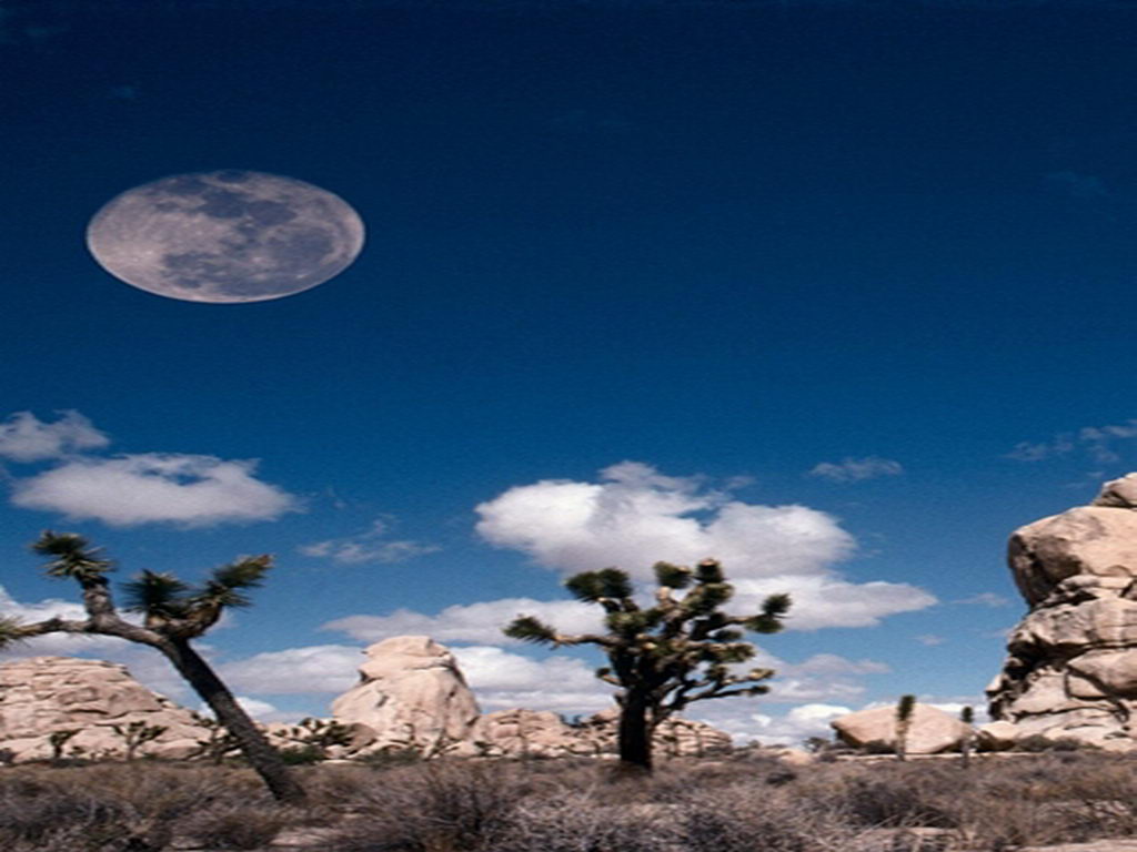 most attractive wallpaper,sky,moon,natural landscape,nature,full moon ...