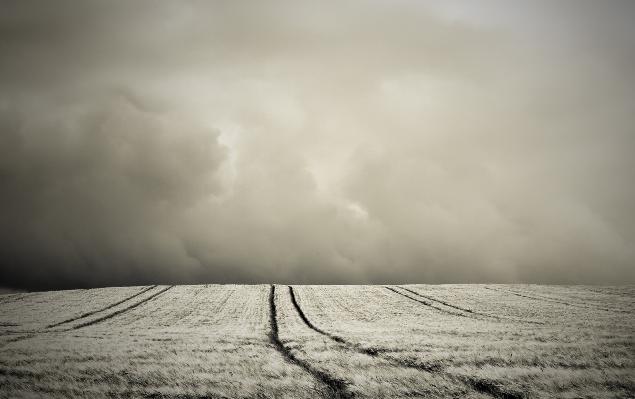 Dark Field By ~ Wallpapers - Dark Field- WallpaperUse