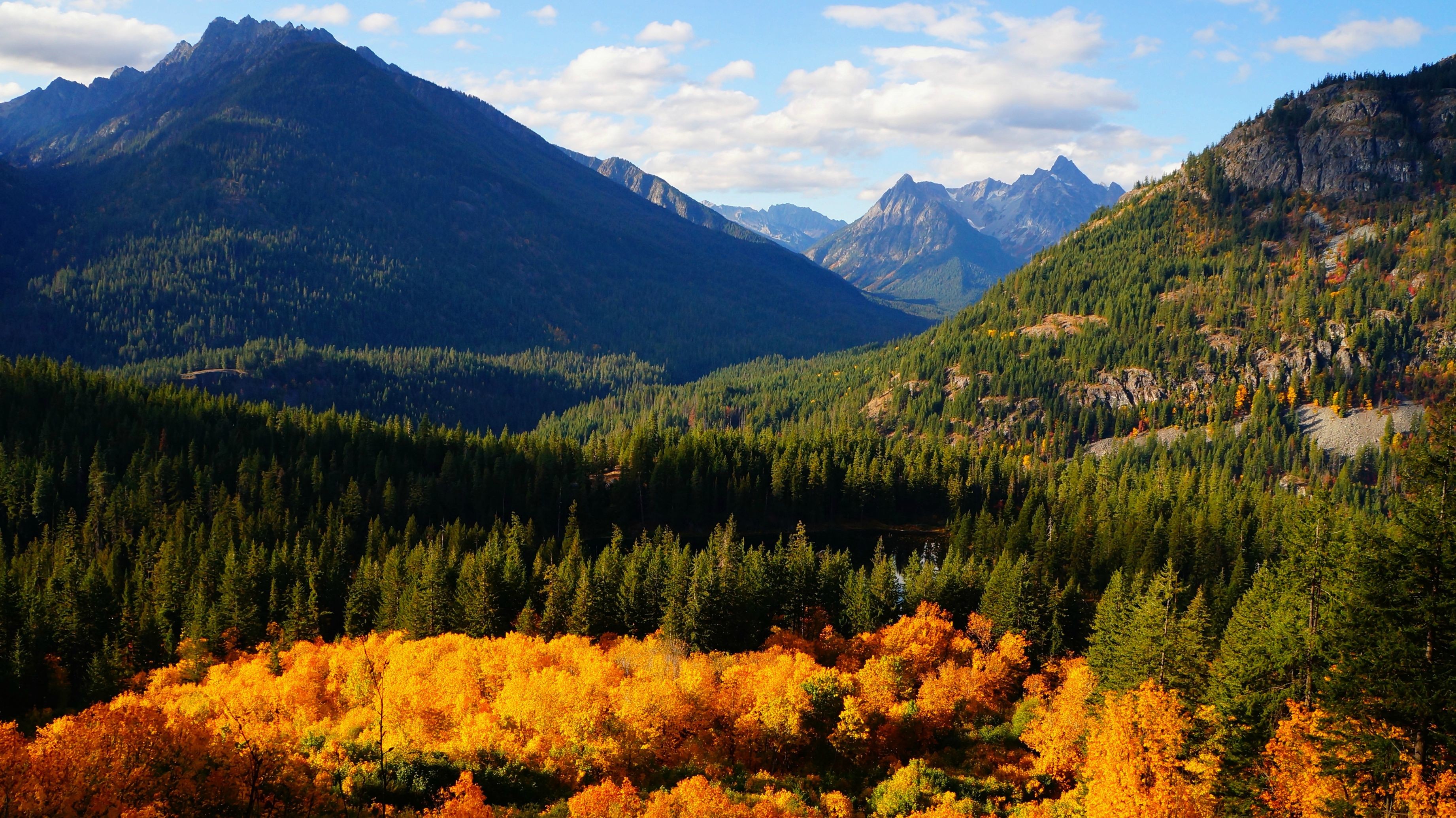 pacific northwest wallpaper,mountainous landforms,mountain,larix ...