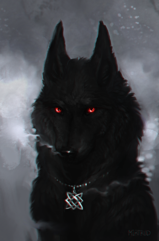 Black Alpha Wolf Wallpaper - Alpha Male Black Wolf- WallpaperUse