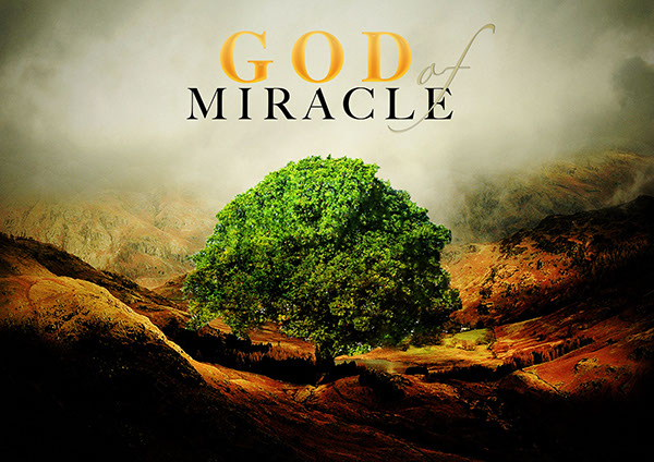 Mitchell- WallpaperUse