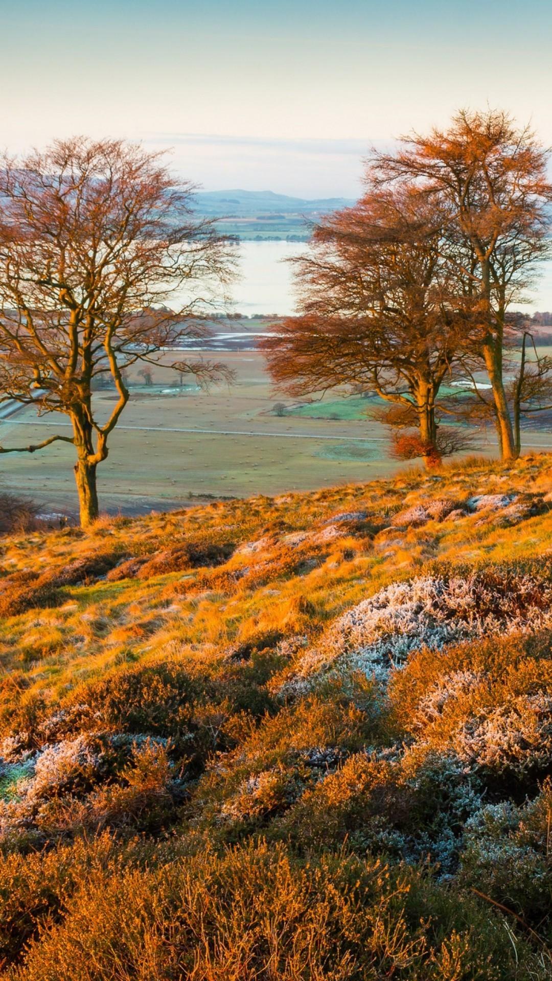 hd wallpapers 1080p,natural landscape,nature,tree,vegetation,natural ...