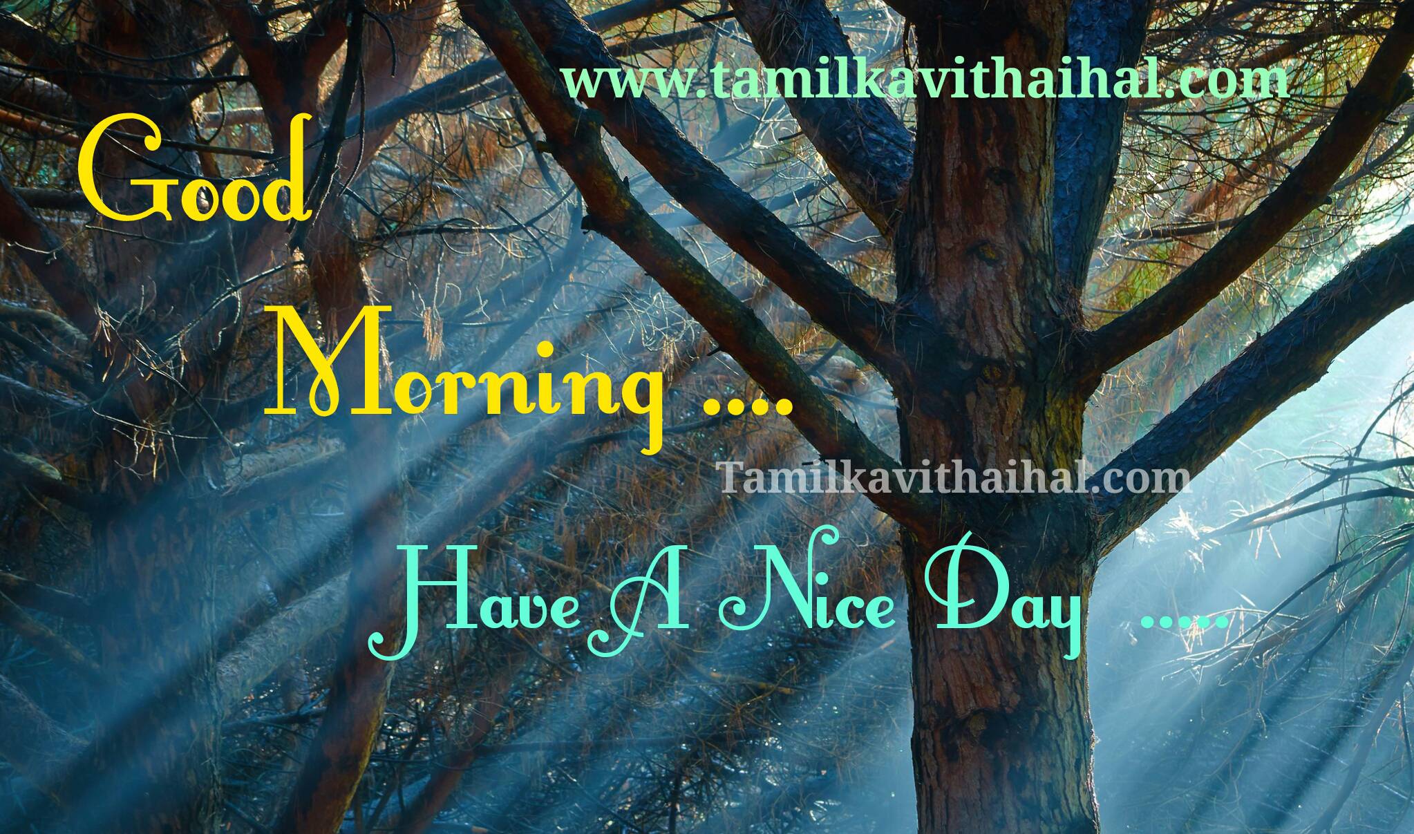 Good Morning Quotes Hd Wallpaper Download- WallpaperUse