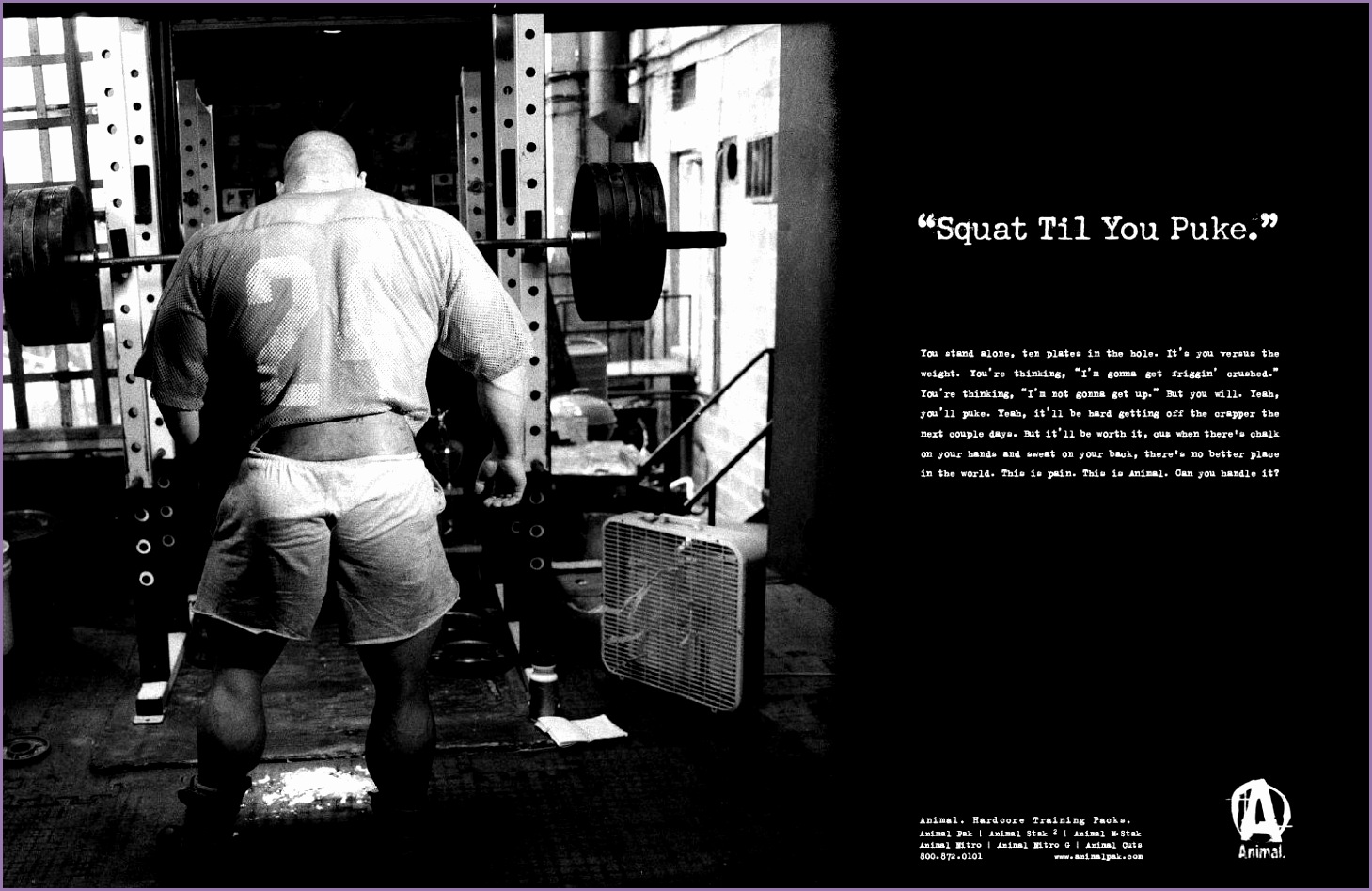 Animal Pak Squat Till You Puke- WallpaperUse
