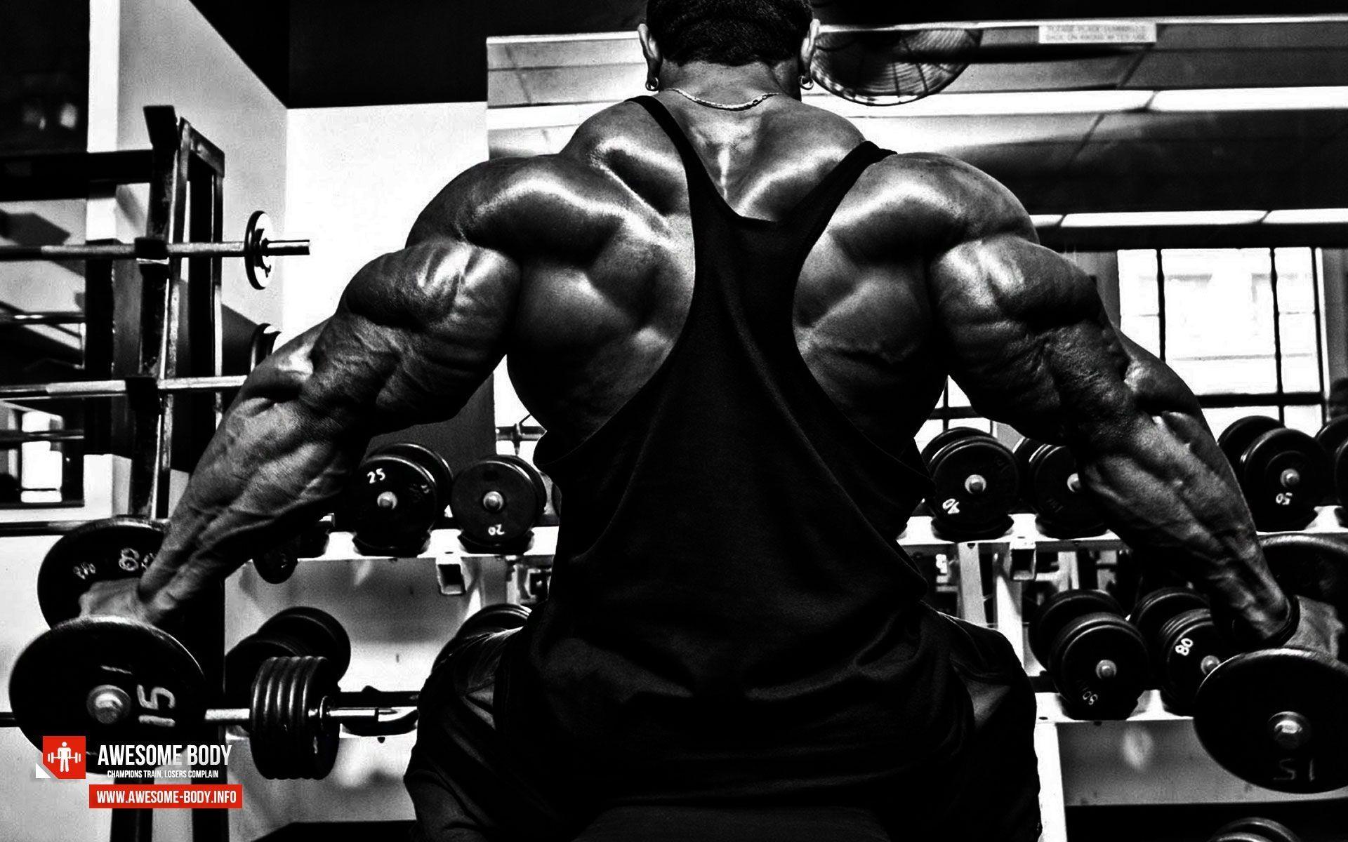 Bodybuilding Wallpaper Iphone- WallpaperUse