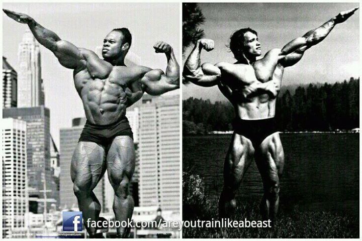 indian bodybuilders wallpapers,bodybuilding,bodybuilder,muscle,physical ...