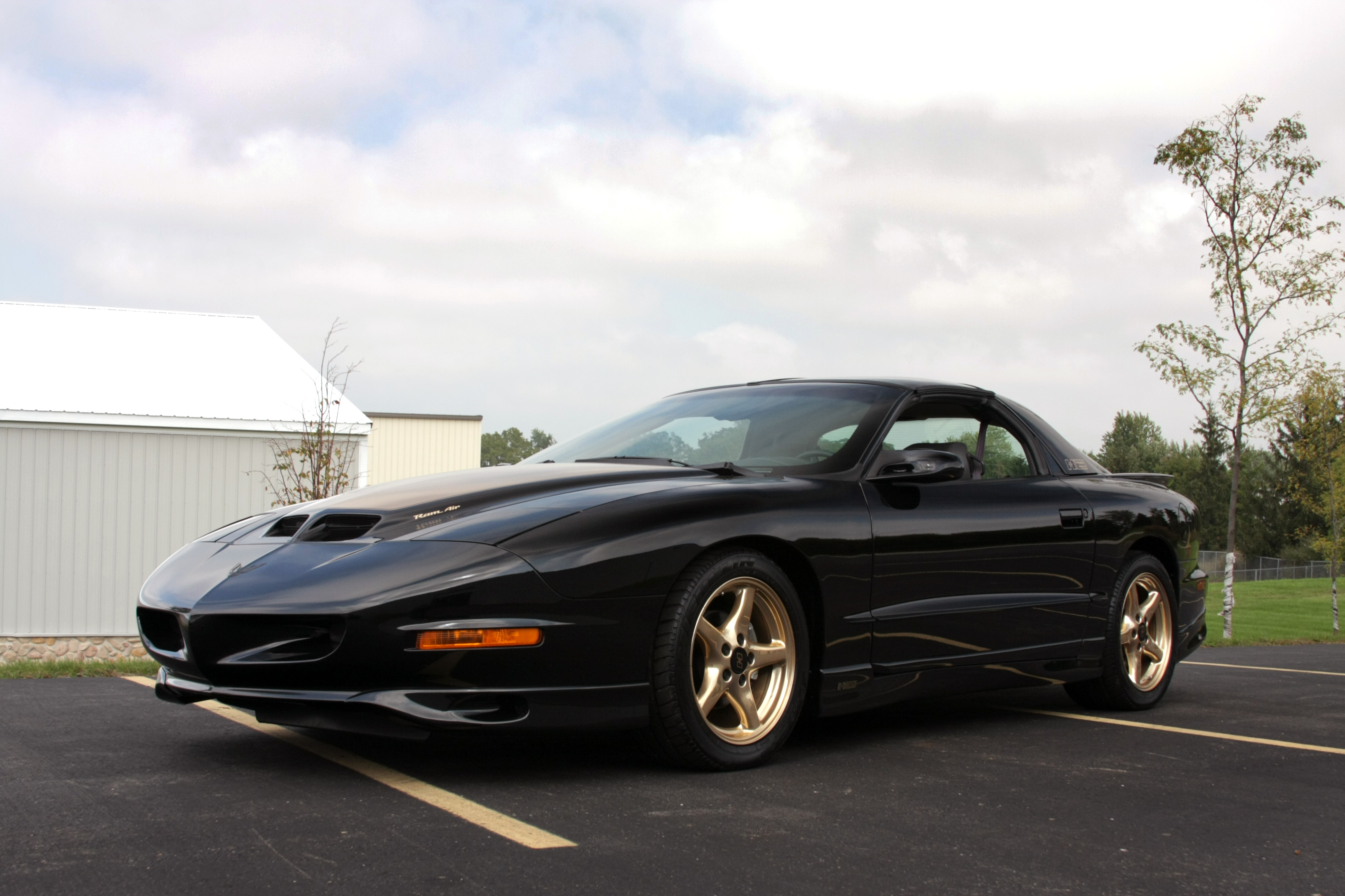 Gold Wheels Trans Am- WallpaperUse