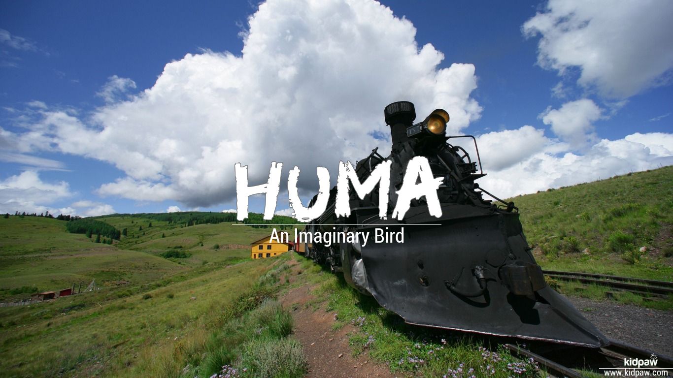 huma name wallpaper,nature,grassland,sky,hill,cloud (#406656 ...