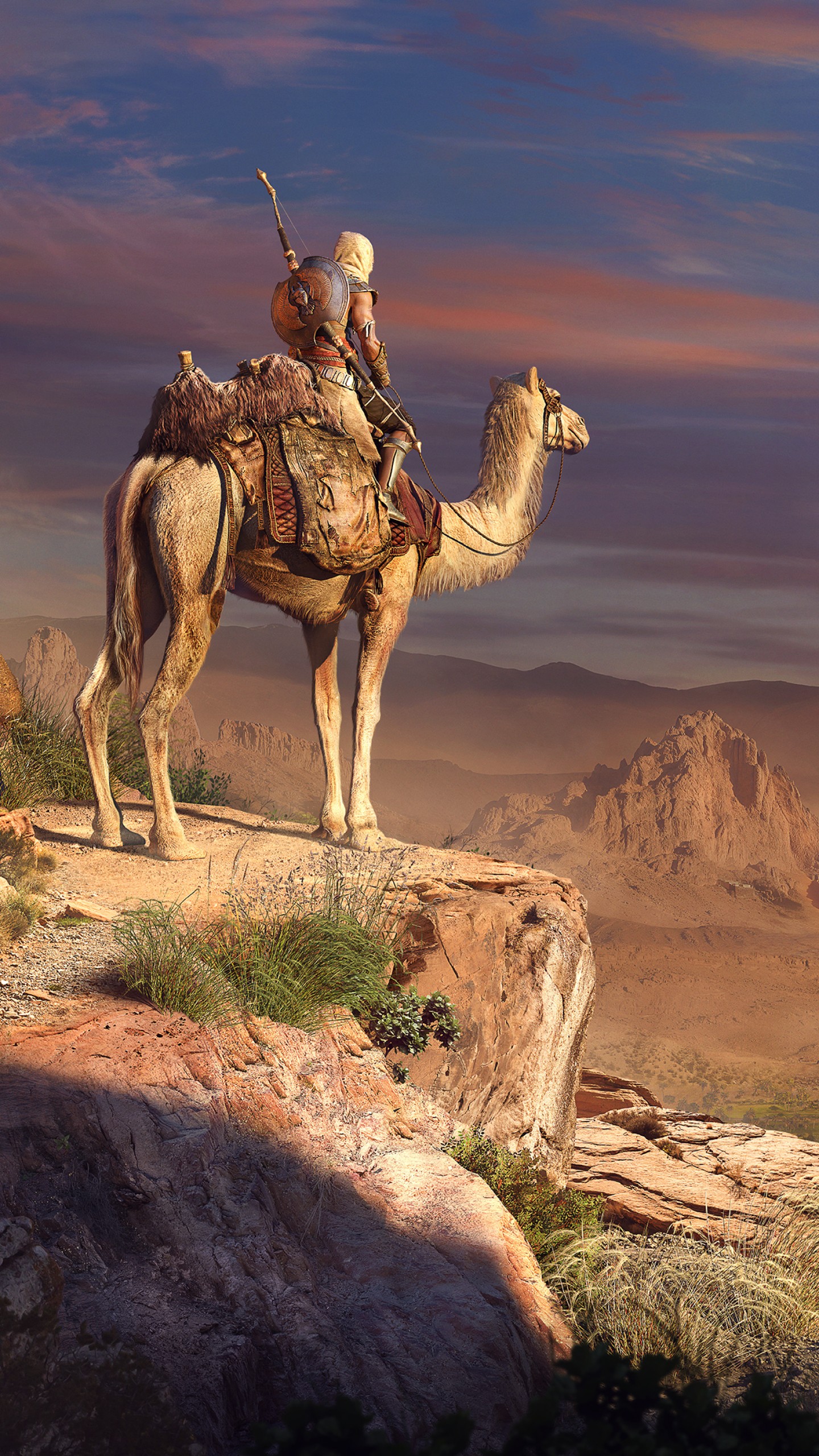 4k pictures wallpapers,camel,arabian camel,camelid,natural environment ...