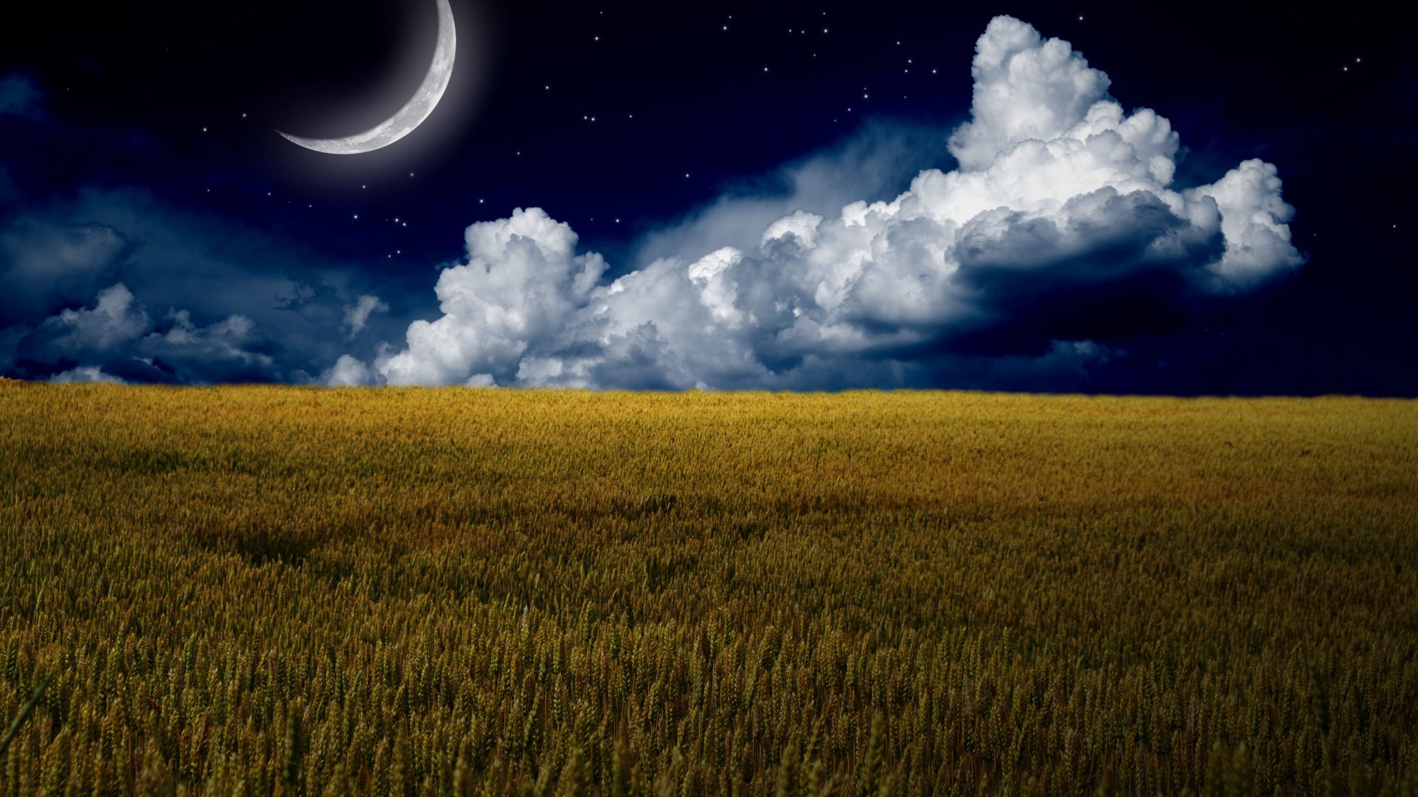 Moonlit Field- WallpaperUse
