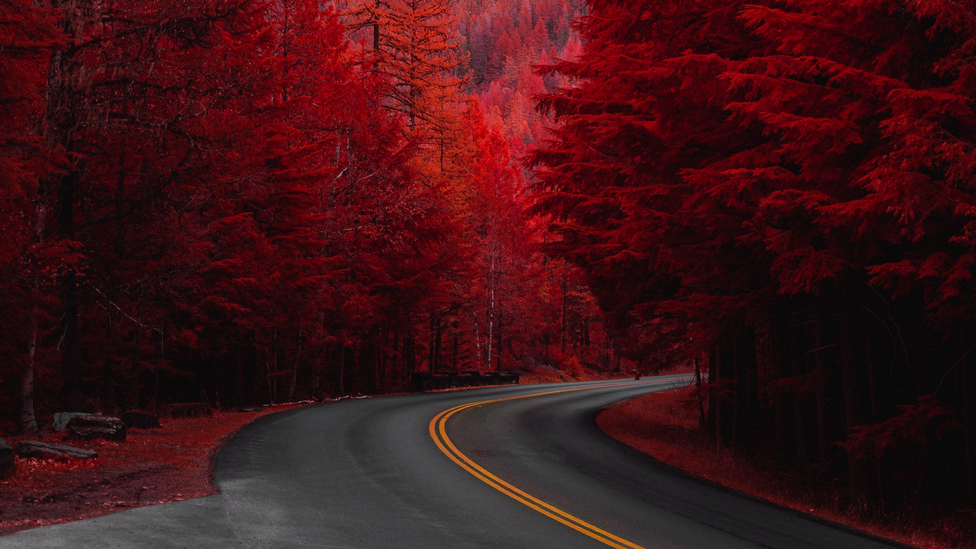 1920x1080p wallpaper,red,tree,road,sky,leaf (#413458) - WallpaperUse