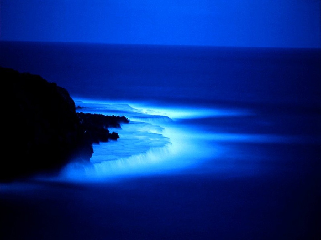 Blue Sea At Night- WallpaperUse