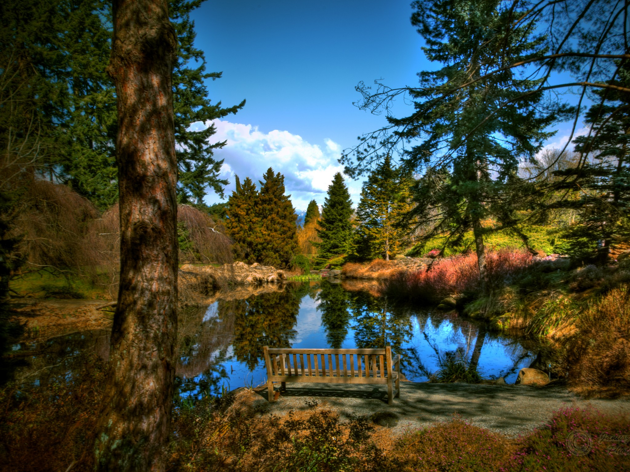 2048x1536 wallpaper hd,natural landscape,nature,reflection,tree ...