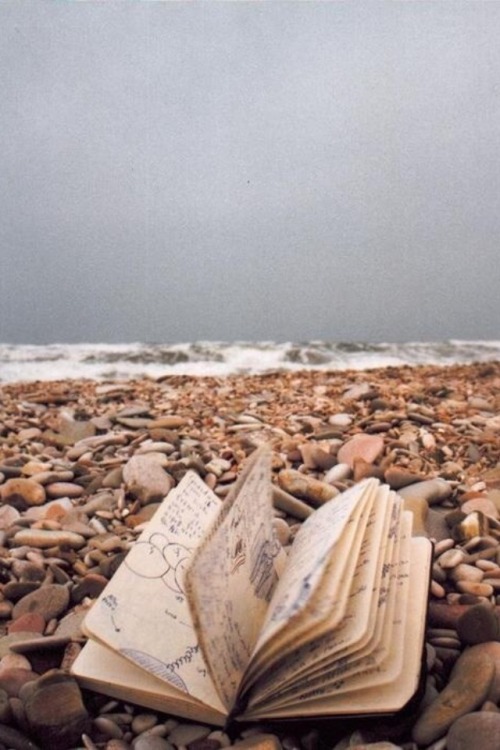 kitap wallpaper,holz,felsen,fotografie,stockfotografie,meer (#424872 ...