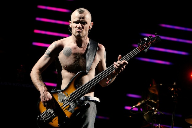 flea wallpaper,guitar,string instrument,musician,performance,guitarist ...