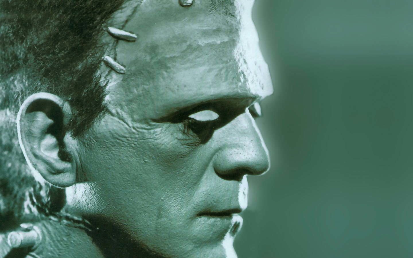 frankenstein wallpaper,face,head,forehead,nose,close up (#432073 ...