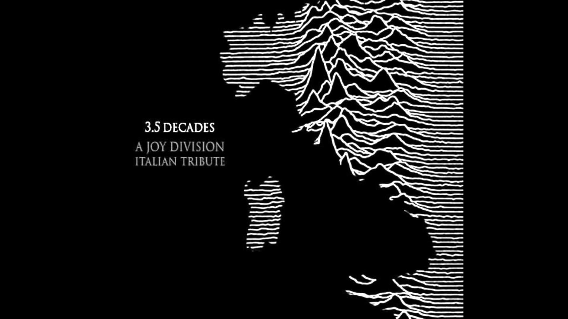 joy division wallpaper,text,font,vascular plant,tree,black and white ...