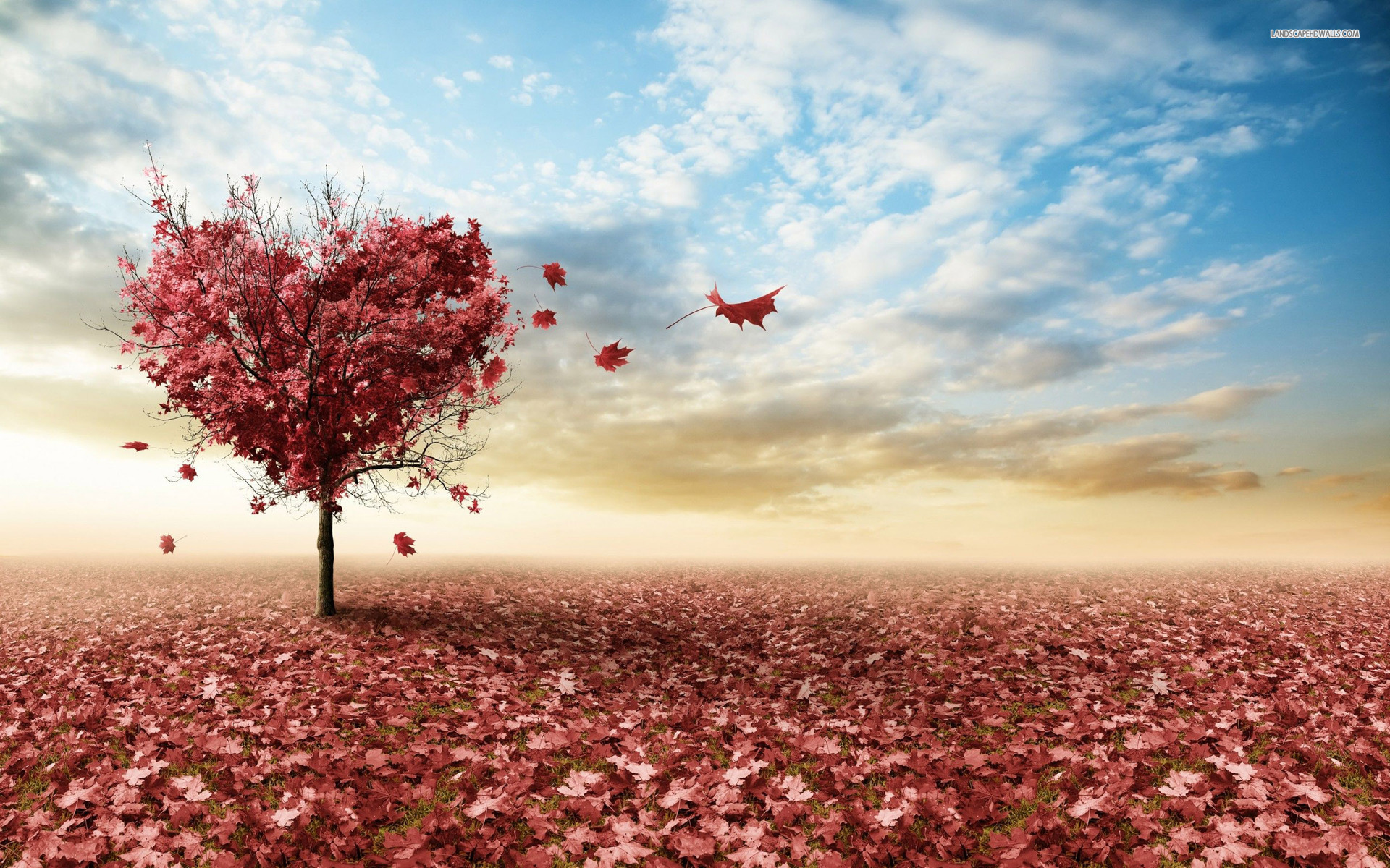 Heart Shaped Fall Tree- WallpaperUse