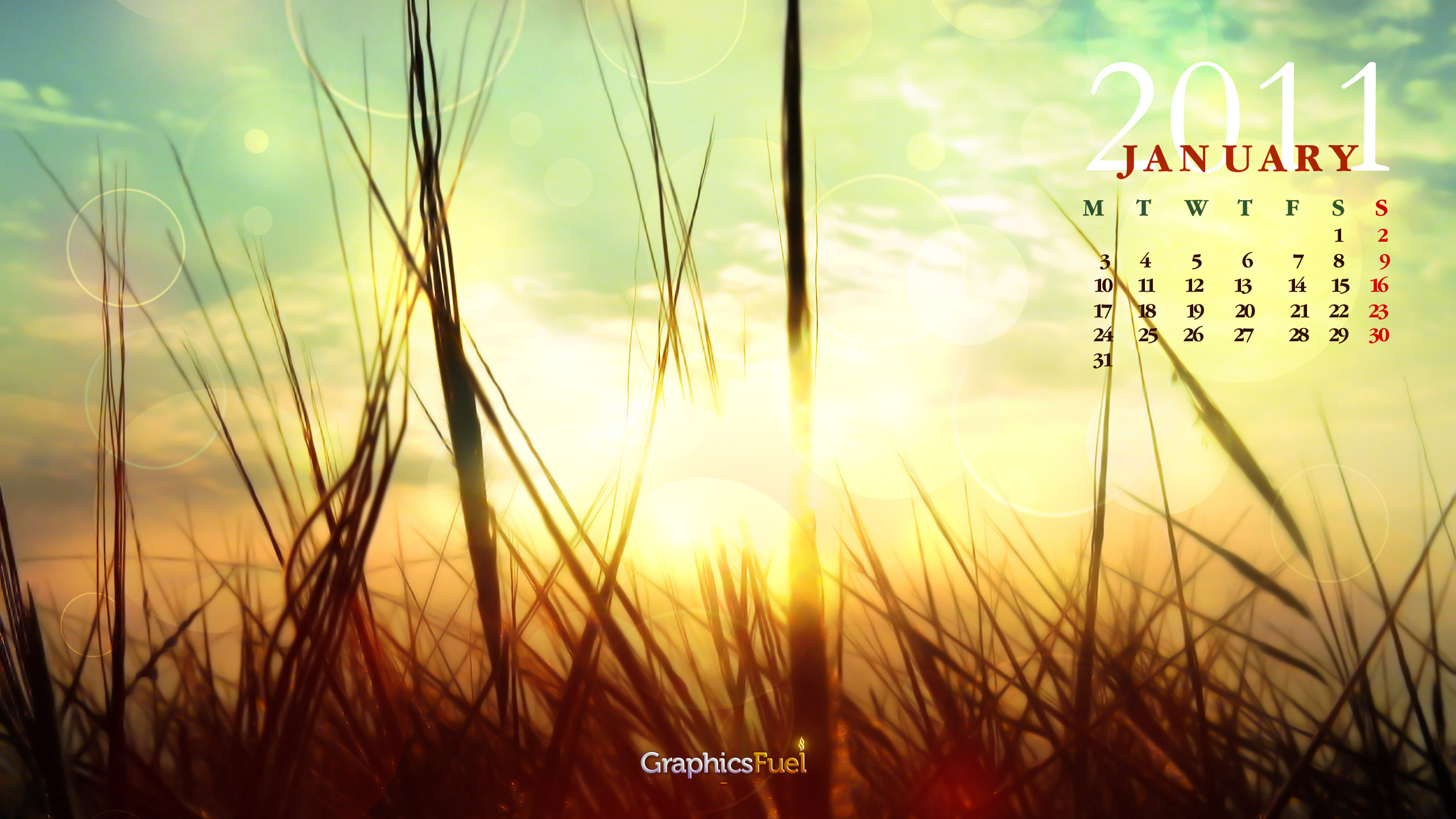 jan wallpaper,nature,sky,grass family,grass,sunlight (#435937 ...