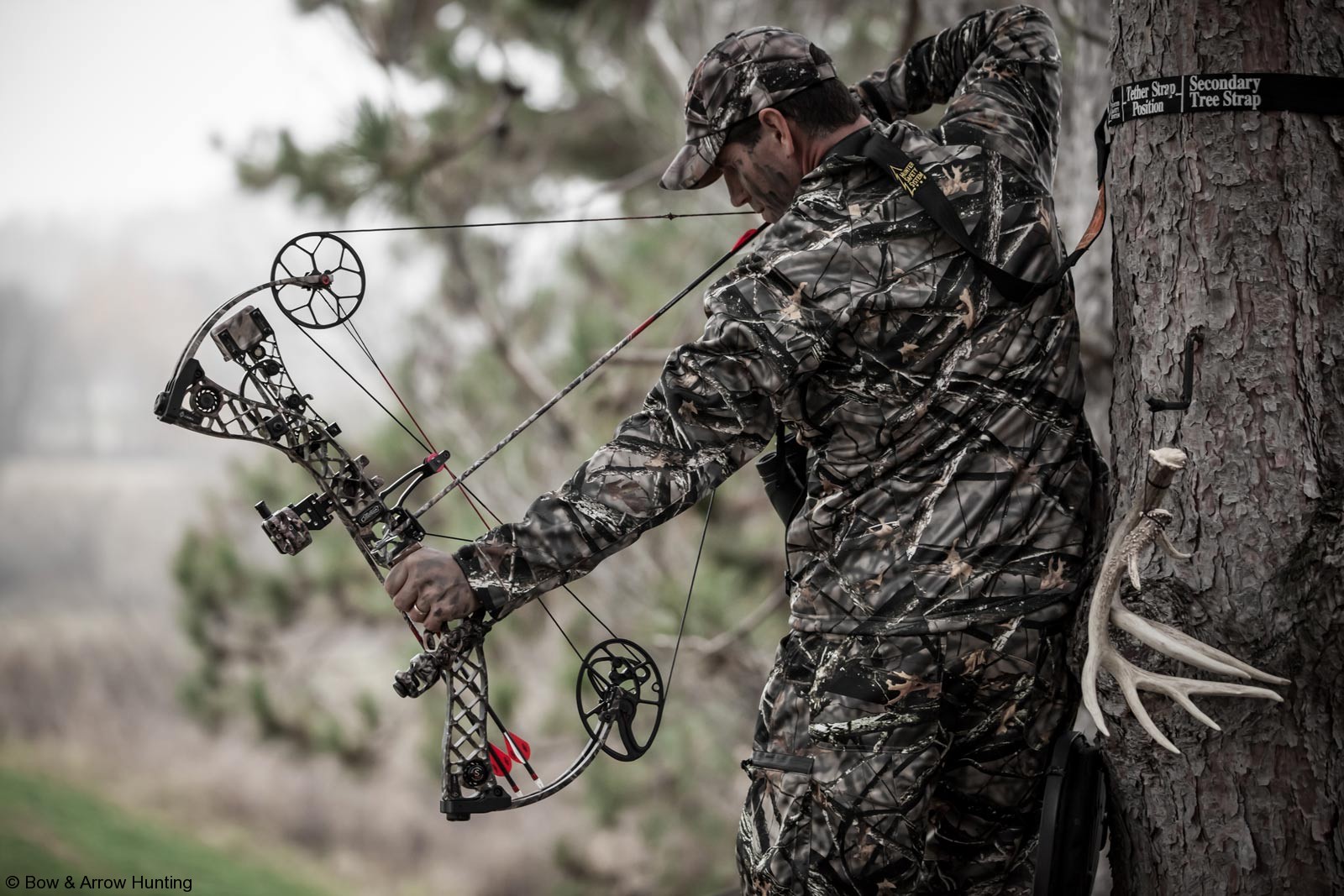 bow hunting wallpaper,compound bow,bow and arrow,bow,archery,tree ...